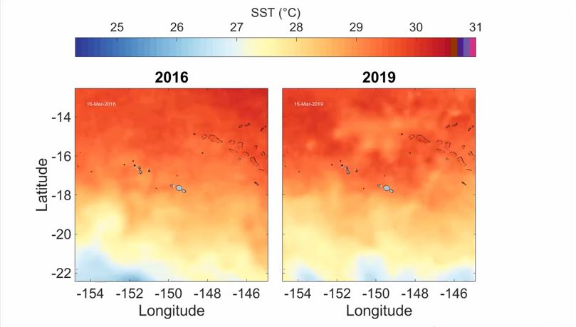 Fathoming the hidden heatwaves that threaten | EurekAlert!