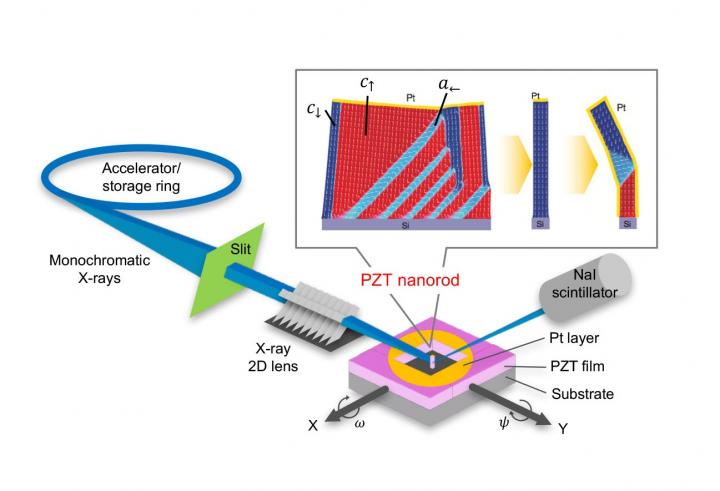 Domain Pattern Control in Ferr [IMAGE] | EurekAlert! Science News Releases