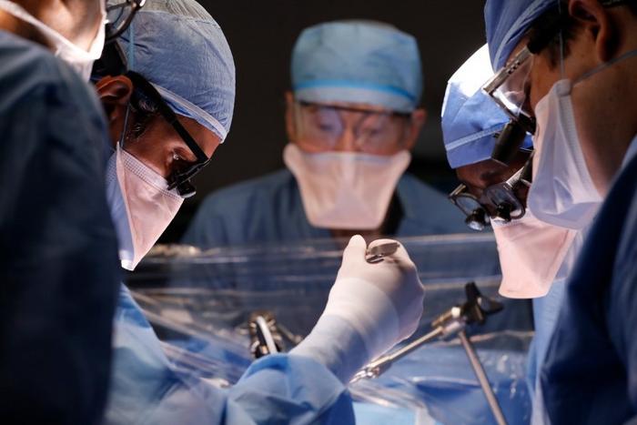 Ismail El-Hamamsy, MD, led a t [IMAGE] | EurekAlert! Science News Releases