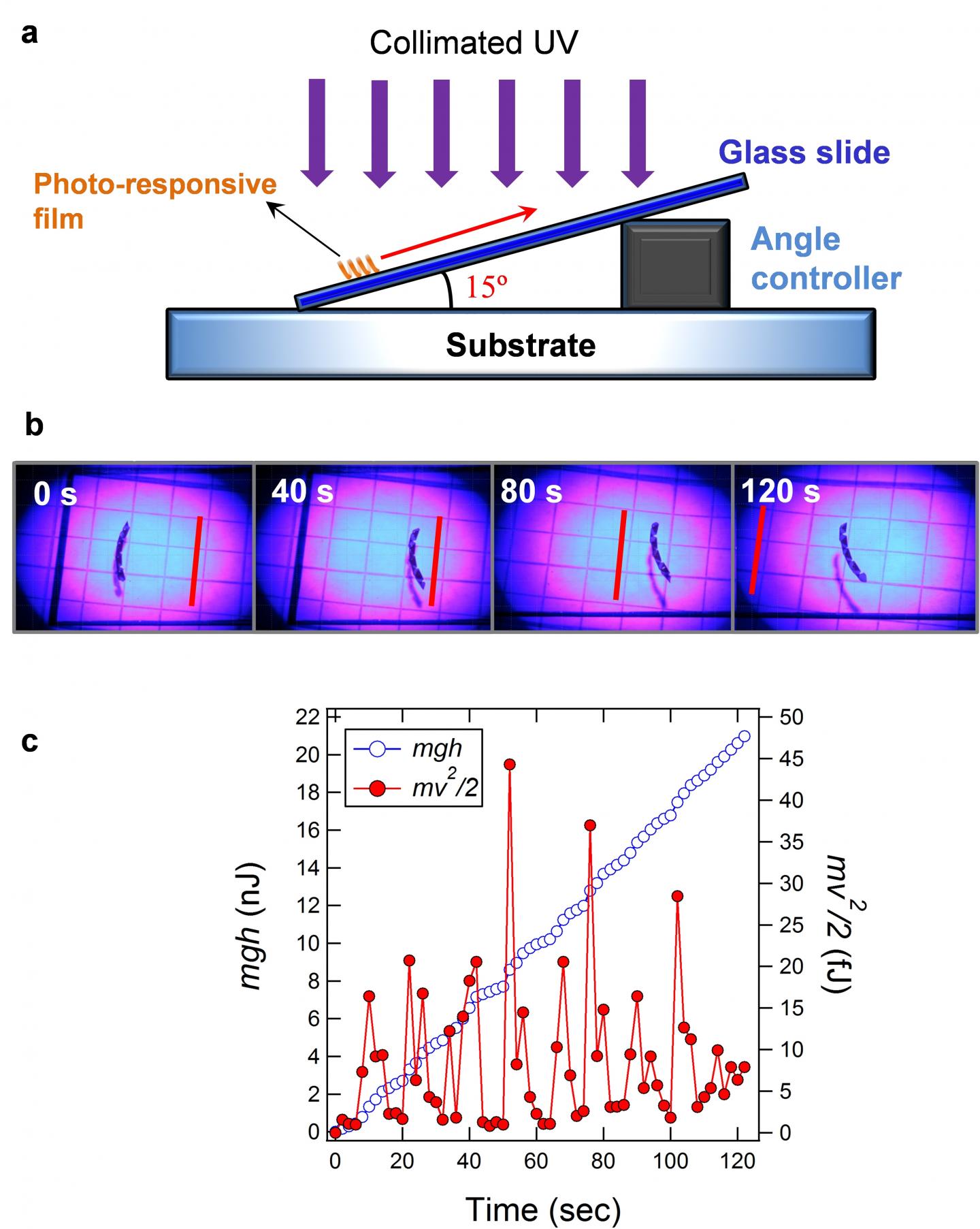 Defying Gravity [IMAGE] | EurekAlert! Science News Releases