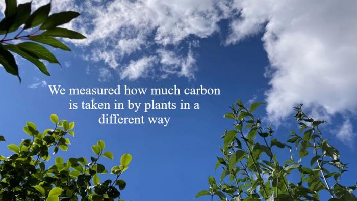 Climate models underestimate carbon cycling t | EurekAlert!