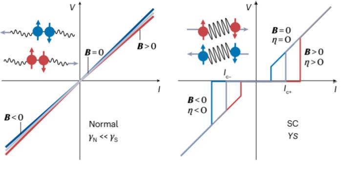 Superconducting diode effect t [IMAGE] | EurekAlert! Science News Releases