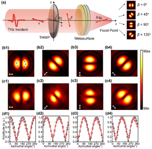 Highly efficient vectorial field manipulation | EurekAlert!