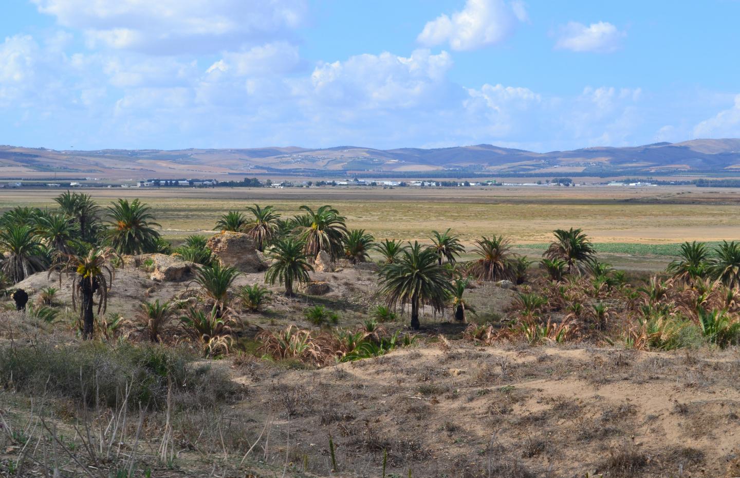 Carthage's lead and silver resources during P | EurekAlert!