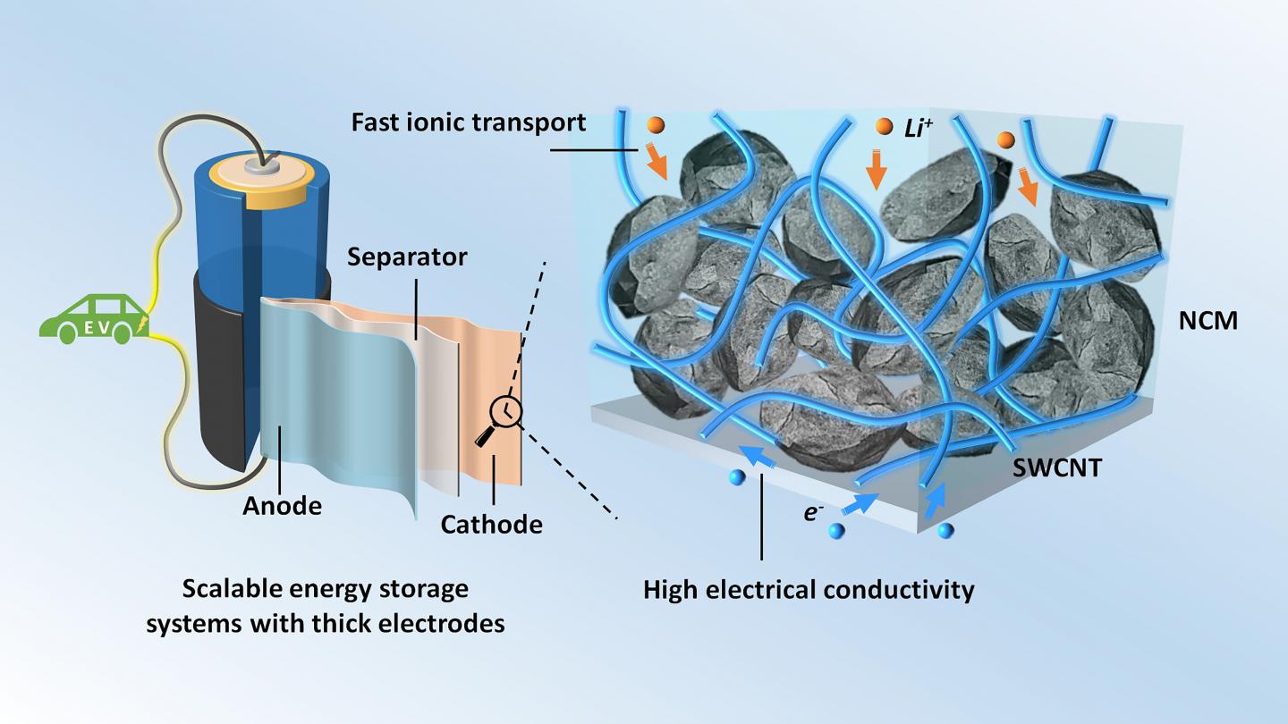 Thick electrodes with single-w [IMAGE] | EurekAlert! Science News Releases