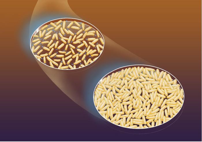 Illustration of change to glas [IMAGE] | EurekAlert! Science News Releases