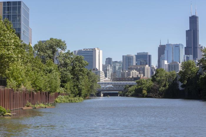 Chicago River [IMAGE] | EurekAlert! Science News Releases