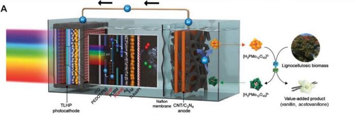 Schematic illustration of PEC [IMAGE] | EurekAlert! Science News Releases