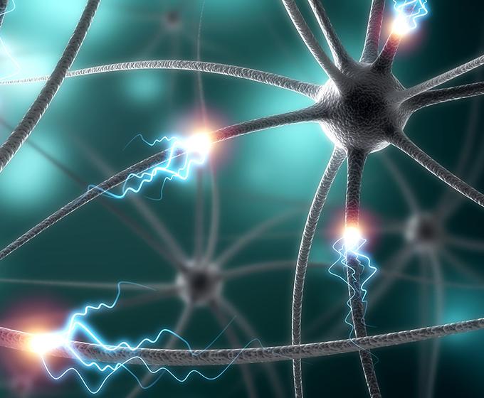 Neurons [IMAGE] | EurekAlert! Science News Releases