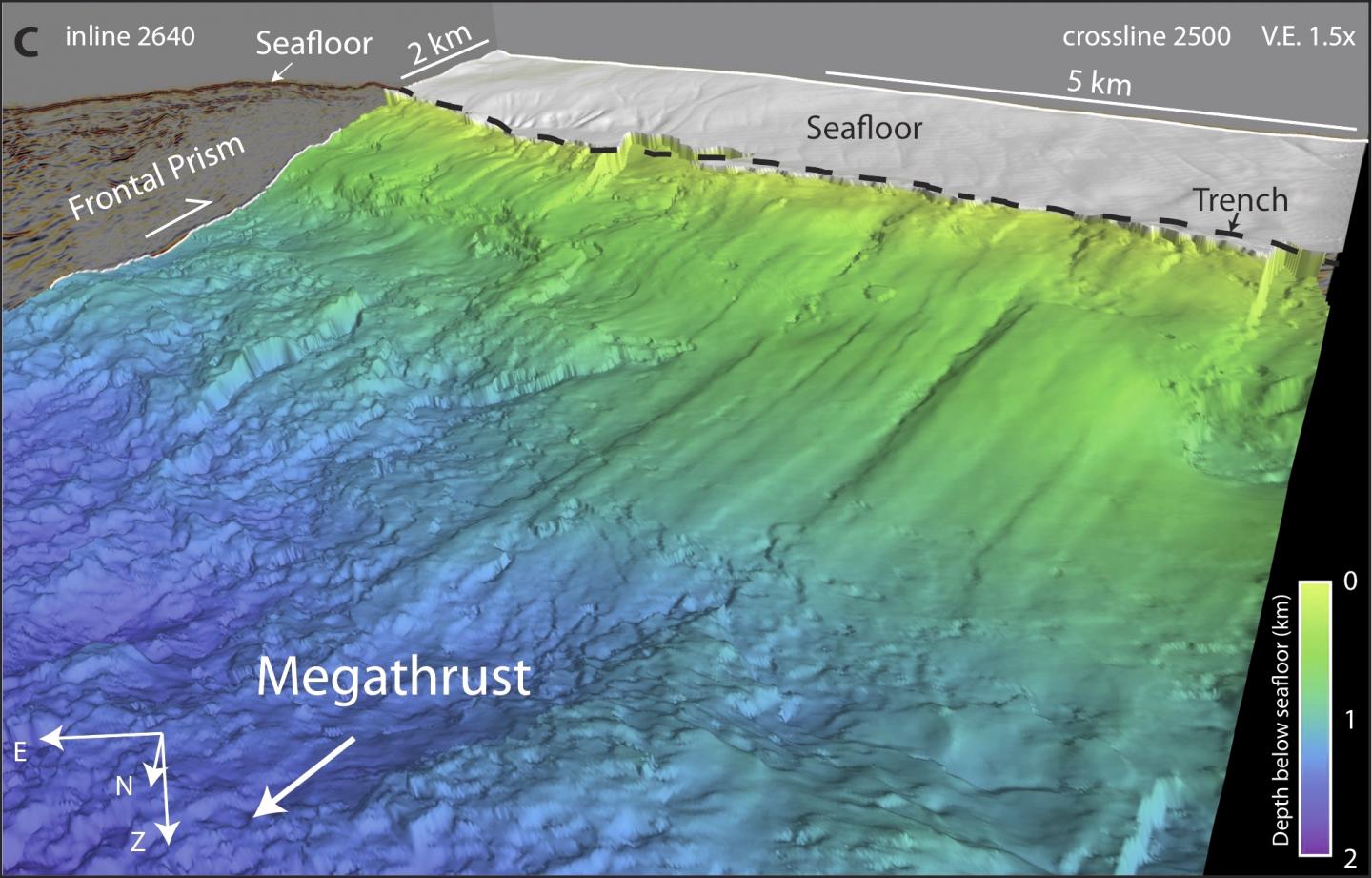 Perspective View of Megathrust [IMAGE] | EurekAlert! Science News Releases