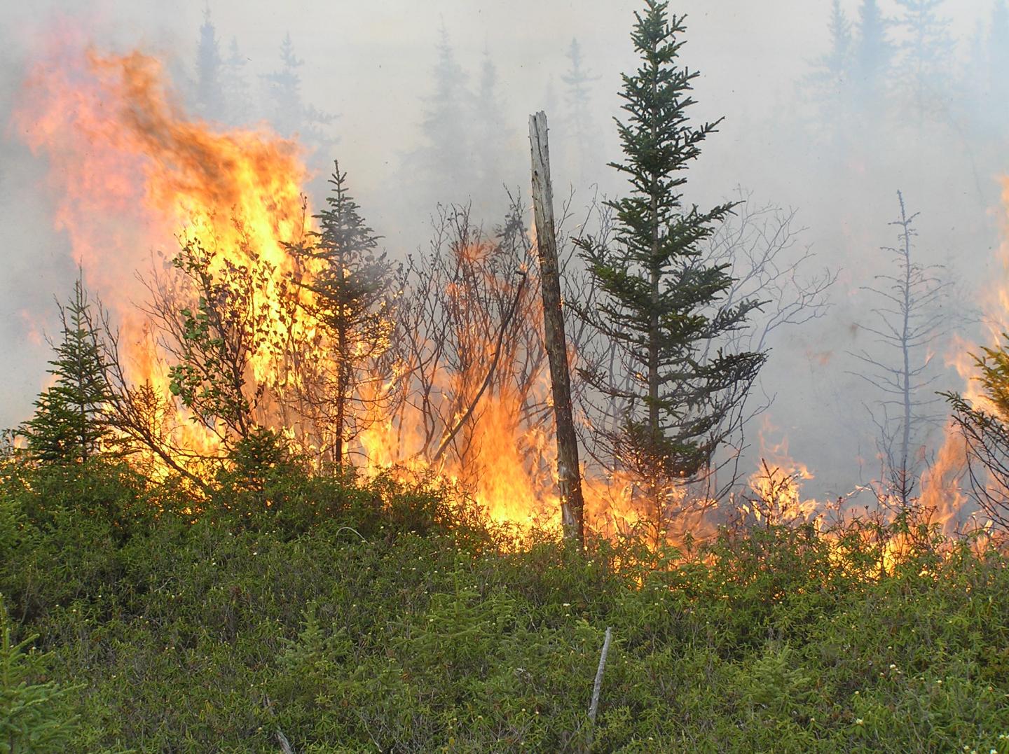 Fire Spreading across a Boreal [IMAGE] | EurekAlert! Science News Releases