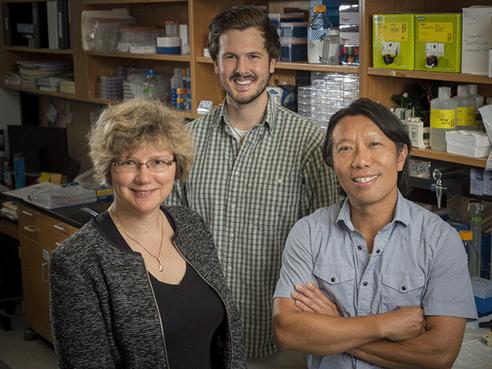 Eugenia Kharlampieva, Michael [IMAGE] | EurekAlert! Science News Releases