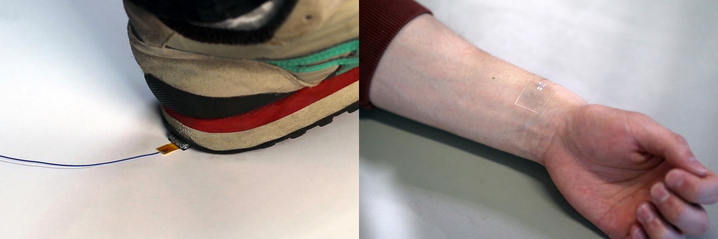 Building Benefits of Hard and Soft Electronic | EurekAlert!