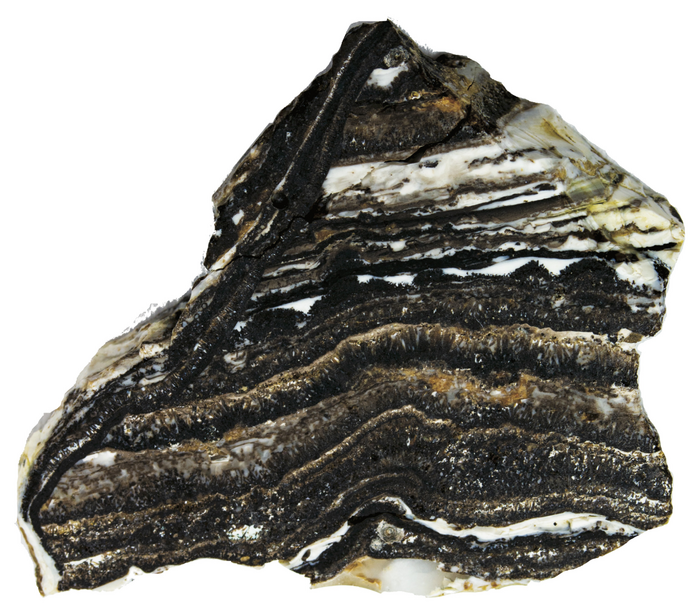 Rock Sample PRR50489 [IMAGE] | EurekAlert! Science News Releases