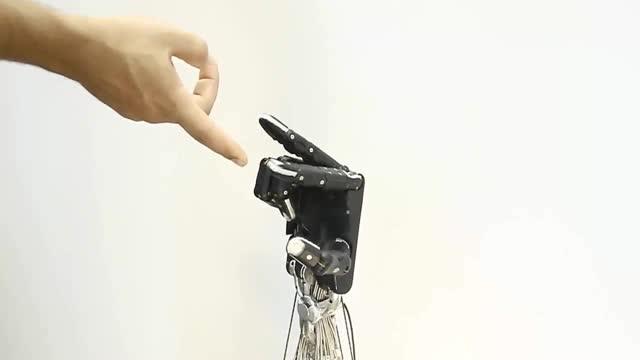 This 5-fingered robot hand learns to get a gr | EurekAlert!