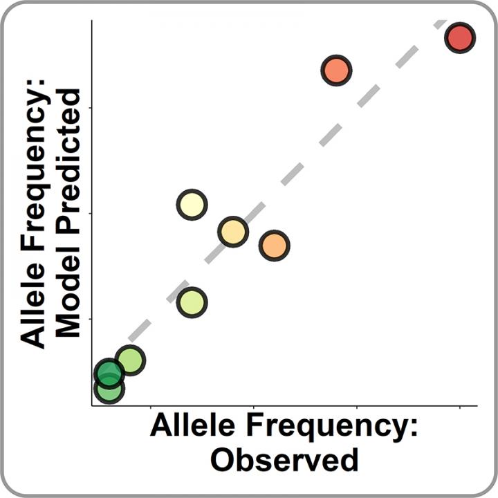 Observed vs Predicted [IMAGE] | EurekAlert! Science News Releases