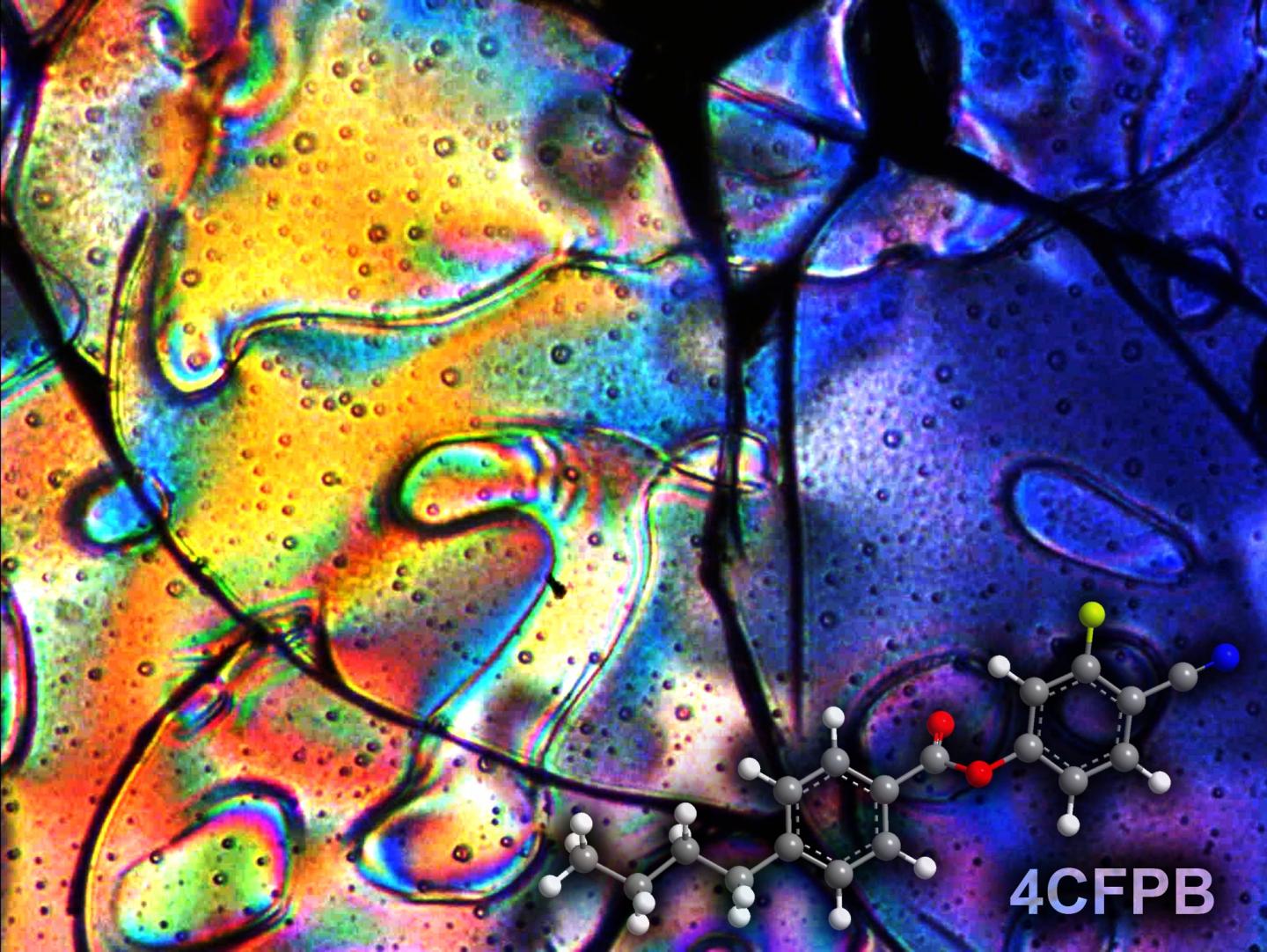Liquid crystals in nanopores produce a surpri | EurekAlert!