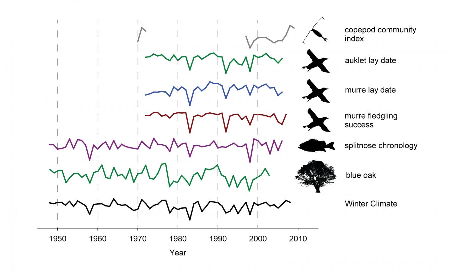Thanks to the Trees: A 6-Century Record of Ca | EurekAlert!