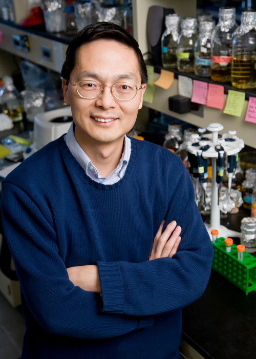 Deep-learning algorithm aims to accelerate pr | EurekAlert!