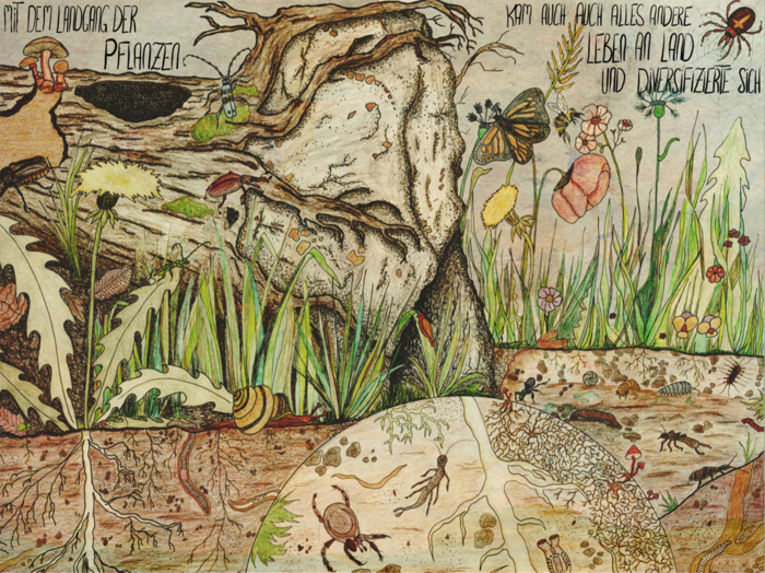 First plants went ashore more [IMAGE] | EurekAlert! Science News Releases