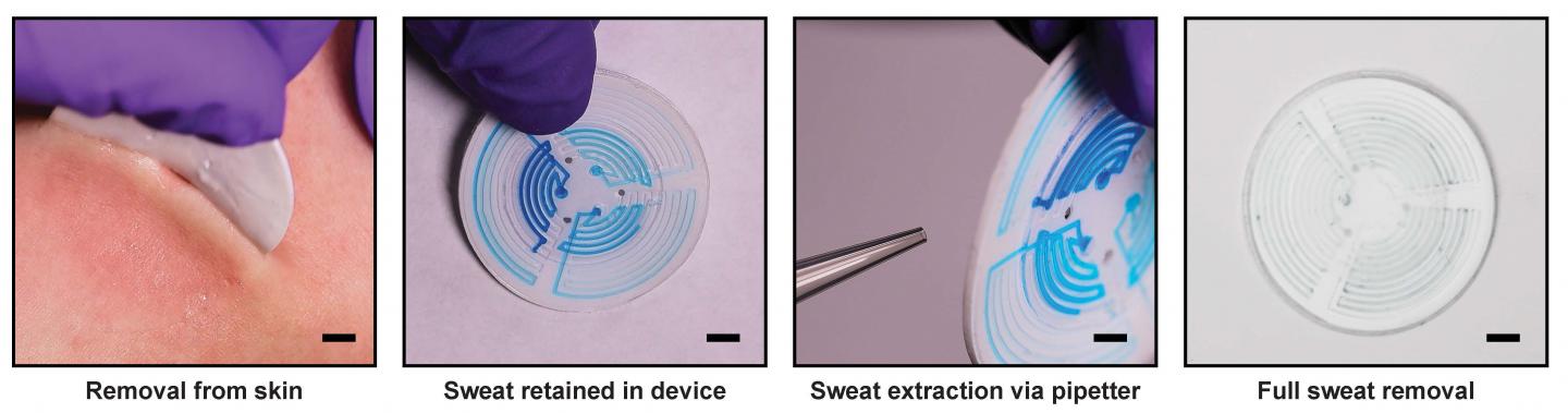 Soft "Sweat Stickers" May Stre [IMAGE] | EurekAlert! Science News Releases