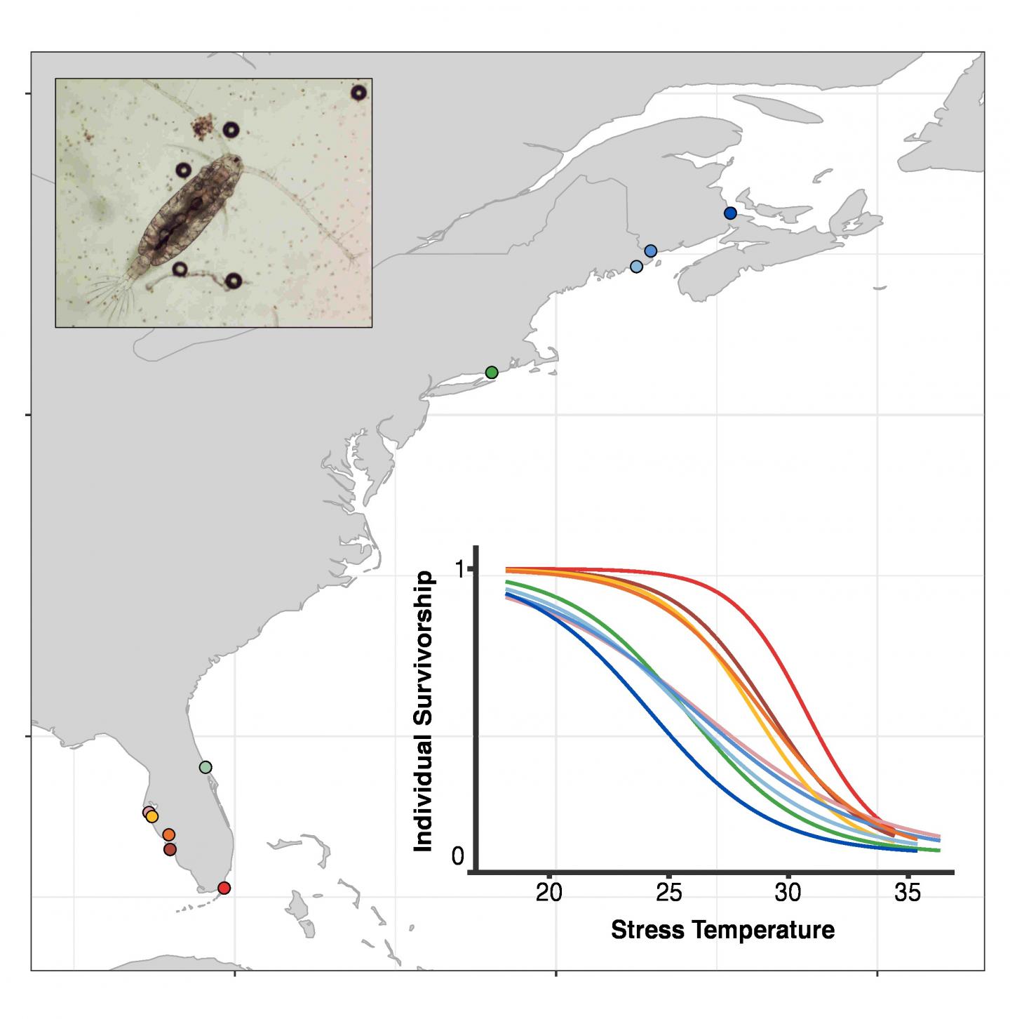 Sample Range [IMAGE] | EurekAlert! Science News Releases