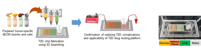 Figure 1 [IMAGE] | EurekAlert! Science News Releases