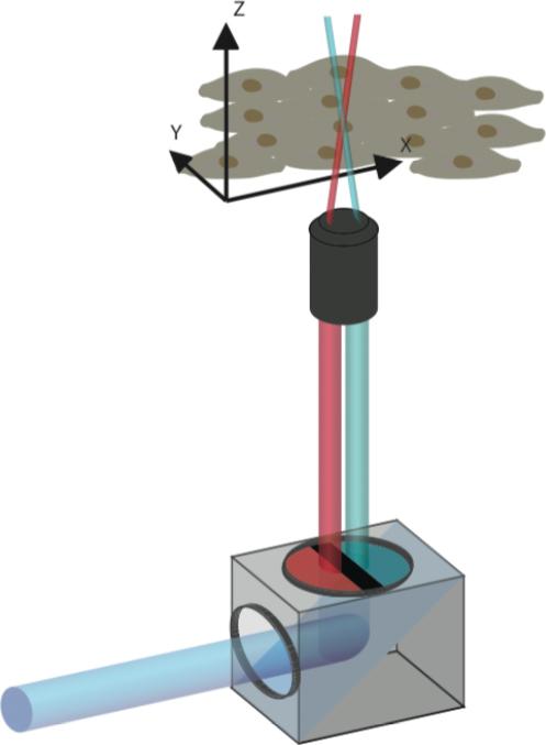 Color Filter [IMAGE] | EurekAlert! Science News Releases