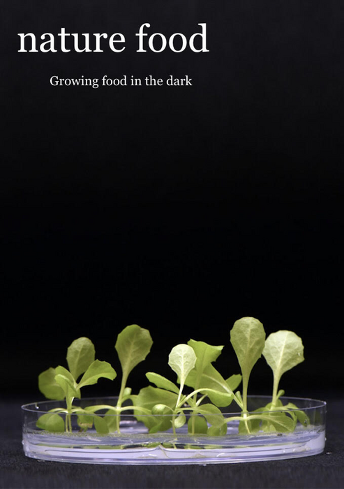 Growing food in the dark (Jour [IMAGE] | EurekAlert! Science News Releases