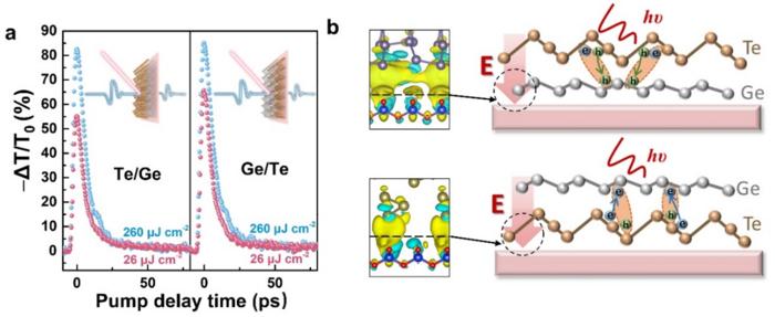 Figure 2 | Substrate-induced c [IMAGE] | EurekAlert! Science News Releases