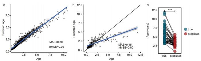 Age prediction using microbiom [IMAGE] | EurekAlert! Science News Releases