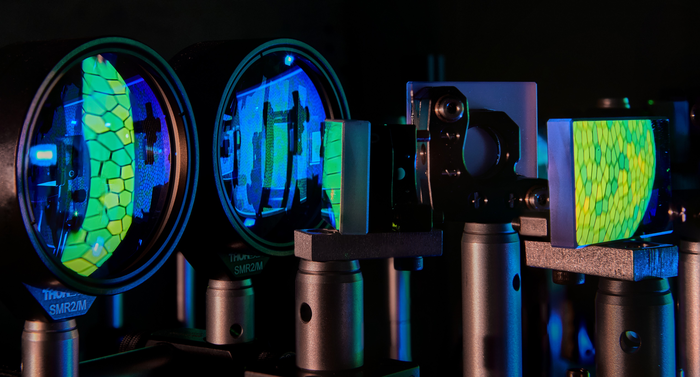 high-resolution laser ophthalm [IMAGE] | EurekAlert! Science News Releases