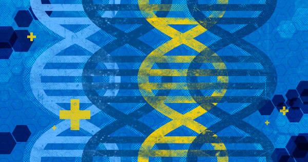 Programming DNA to deliver cancer drugs | EurekAlert!