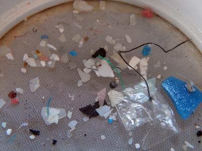 In Atlantic, Appearance of Floating Plastic H | EurekAlert!