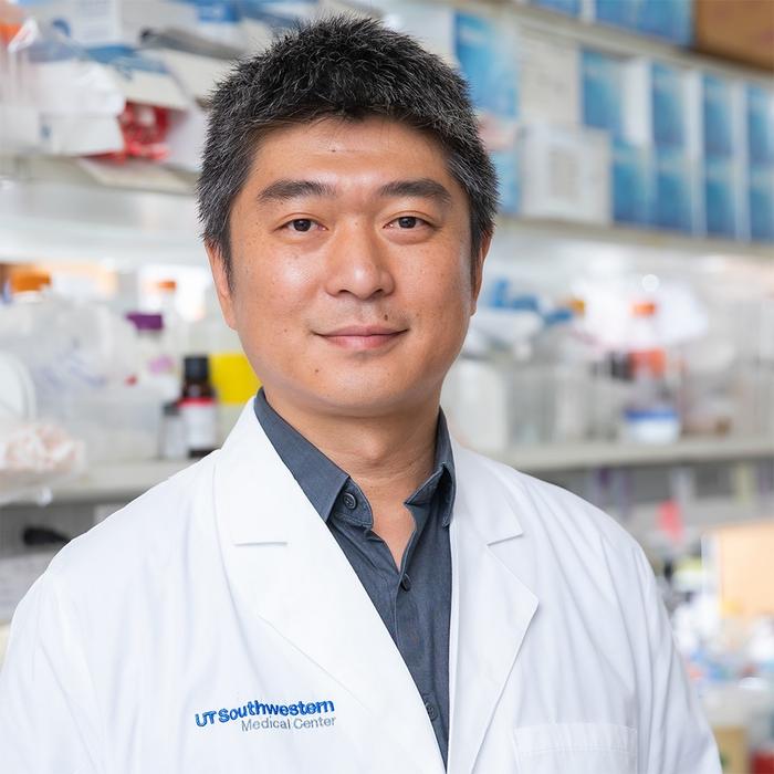 Jun Wu Receives the 2024 ISSCR [IMAGE] | EurekAlert! Science News Releases
