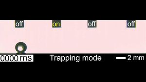 Trapping mode of the DEST [VIDEO] | EurekAlert! Science News Releases