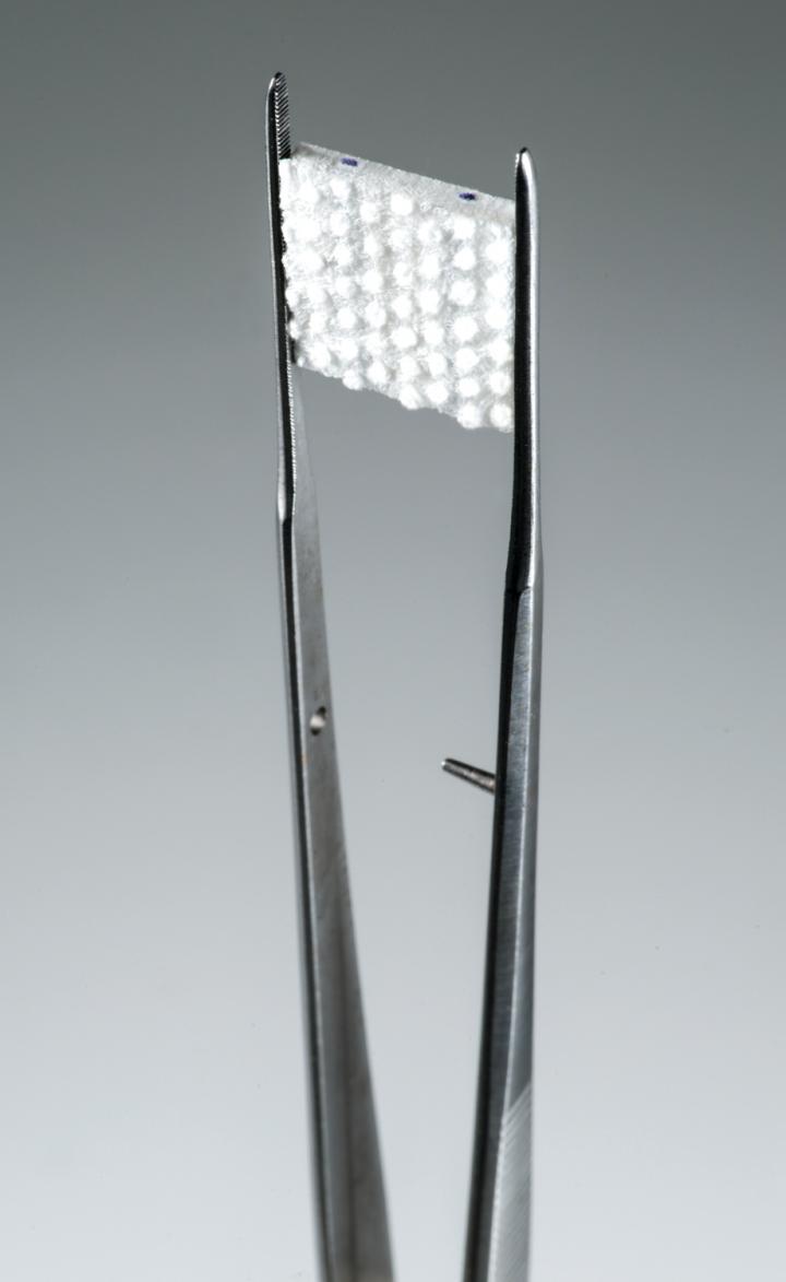 The GammaTile [IMAGE] | EurekAlert! Science News Releases