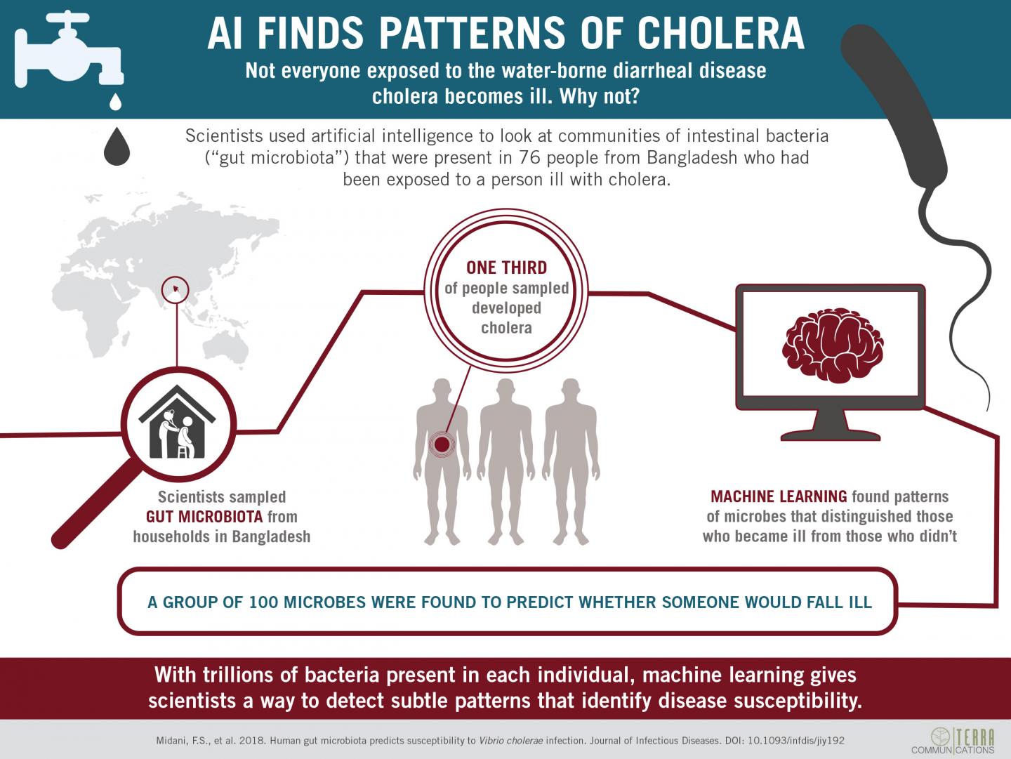 Cholera Infographic [IMAGE] | EurekAlert! Science News Releases