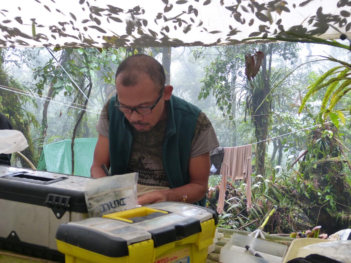 Danny Balete fieldwork [IMAGE] | EurekAlert! Science News Releases