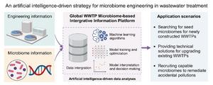 Innovating Wastewater Treatment: A Leap from | EurekAlert!