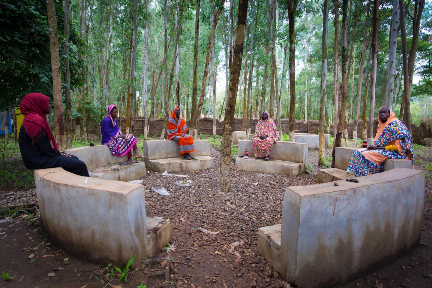 COMPASS Mentors Gather in a Sa [IMAGE] | EurekAlert! Science News Releases