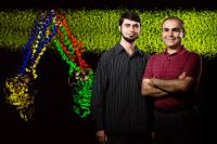 Difficult dance steps: Team learns how membra | EurekAlert!