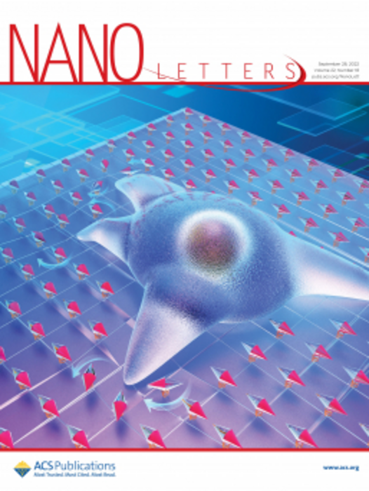 Nano Letters [IMAGE] | EurekAlert! Science News Releases