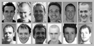 Recognizing the Averaged Face [IMAGE] | EurekAlert! Science News Releases