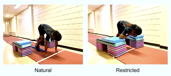 Image 1 [IMAGE] | EurekAlert! Science News Releases