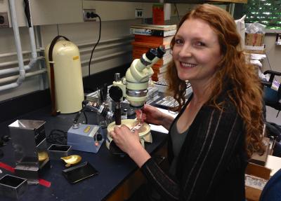 Coupling of Pacific and Atlantic Climate Lead | EurekAlert!