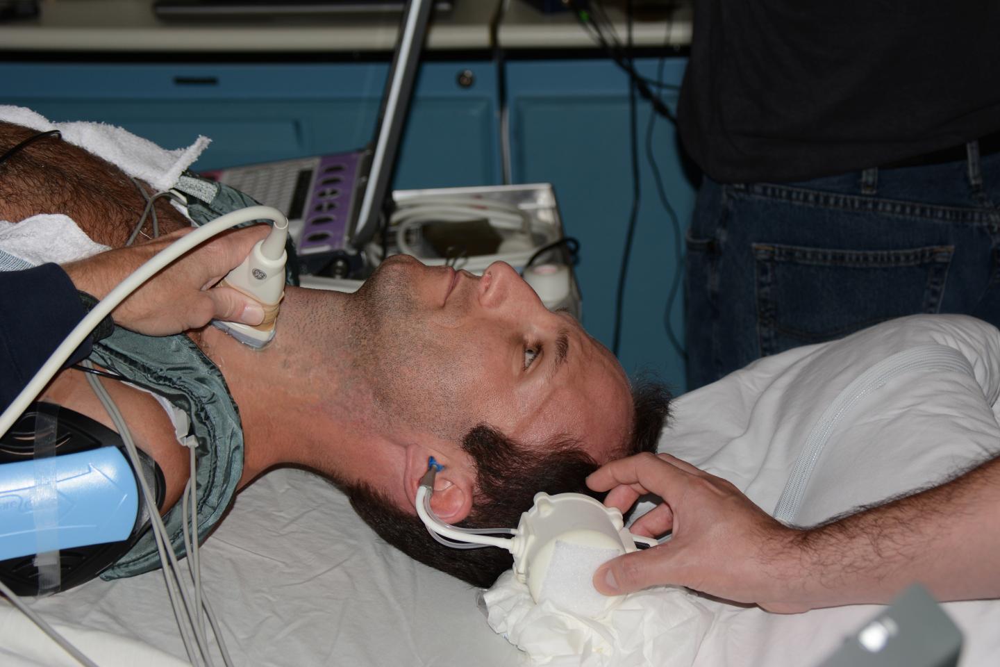 Cerebral and Cochlear Fluid Pr [IMAGE] | EurekAlert! Science News Releases