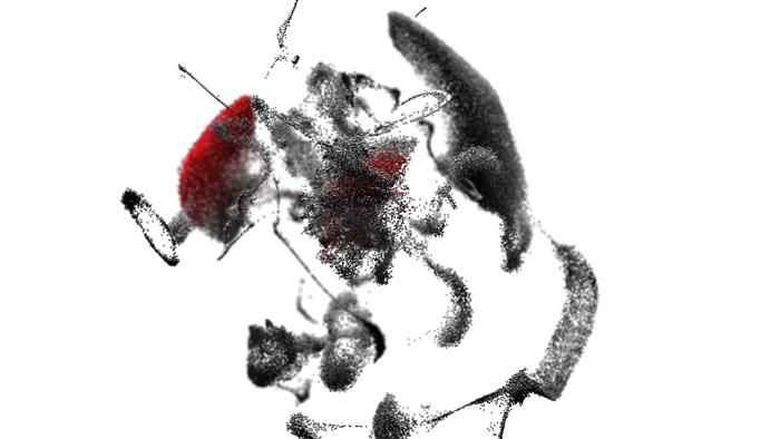 Tabulae Paralytica: Mapping the biology of sp | EurekAlert!