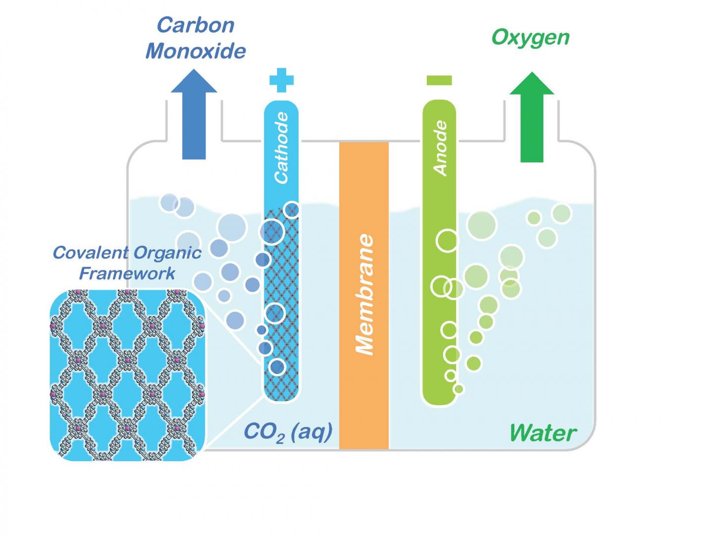 Soaking up carbon dioxide and turning it into | EurekAlert!