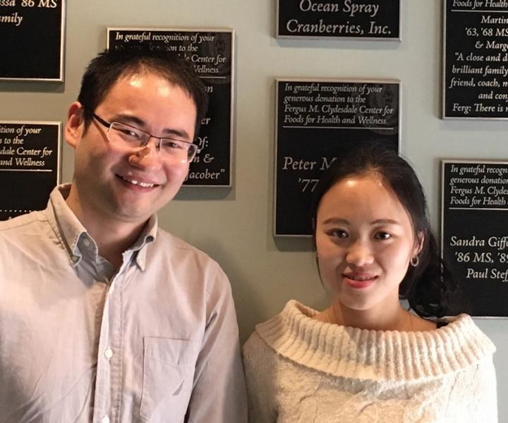 Identifying the mechanism in obesity's link t | EurekAlert!